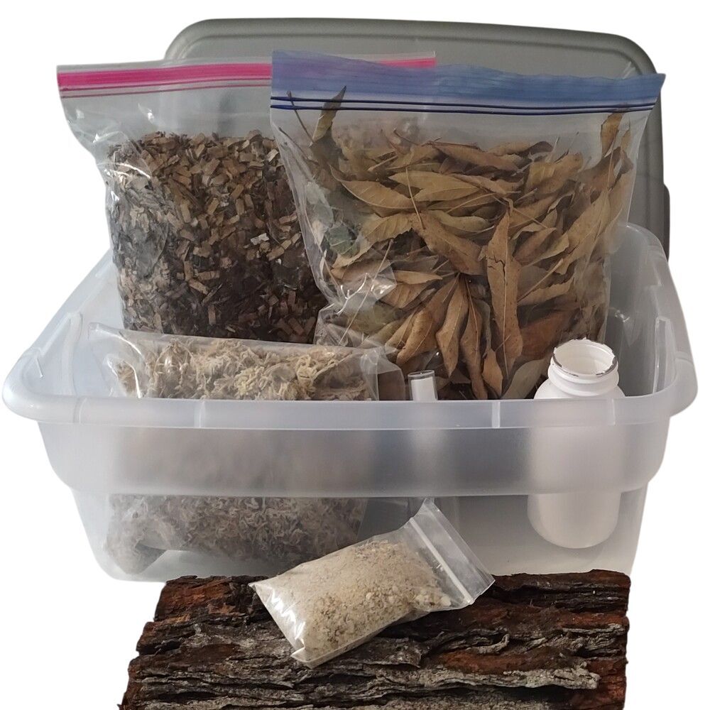 Isopod Breeding Kit 12 Quart - Misfit Farms